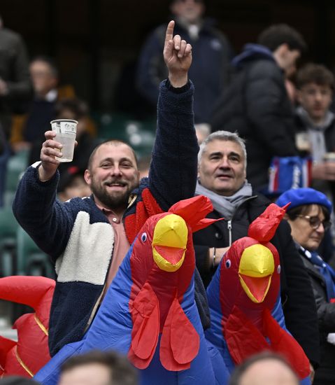 Two French Fans Dressed Cockerel Suits Editorial Stock Photo - Stock ...