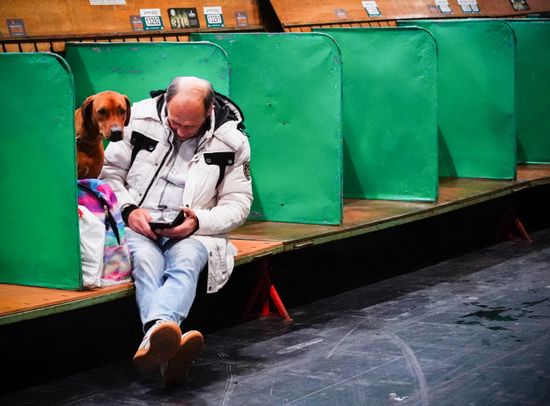 Rhodesian Ridgeback Owner Resting Enclosure On Editorial Stock Photo ...