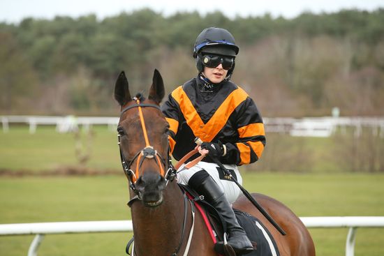Jockey Fern Obrien Riding Ballyhome During Editorial Stock Photo ...