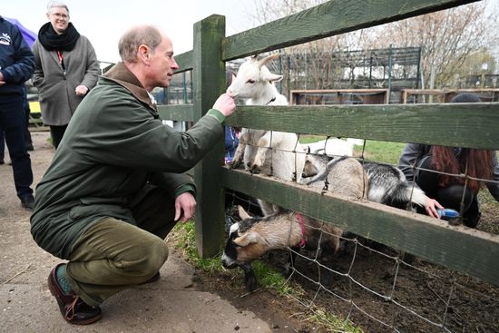 Prince Edward Duke Edinburgh Pets Goat Editorial Stock Photo - Stock ...