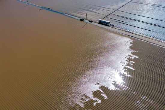 Agricultural Areas Flooded Breached Levee On Editorial Stock Photo ...