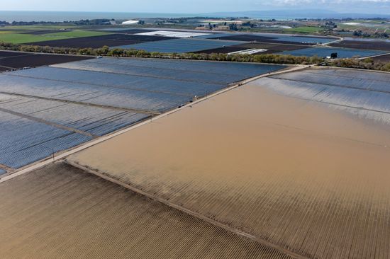 Agricultural Areas Flooded Breached Levee On Editorial Stock Photo ...