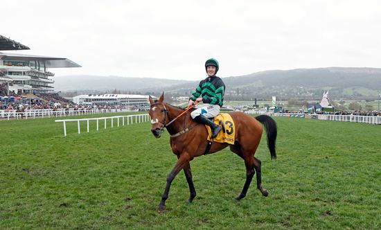 Seddon Ben Harvey Wins Magners Plate Editorial Stock Photo - Stock ...