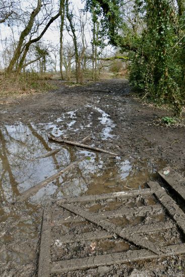 Country Paths Turned Muddy Quagmire After Editorial Stock Photo - Stock ...