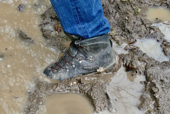 Country Paths Turned Muddy Quagmire After Editorial Stock Photo - Stock ...