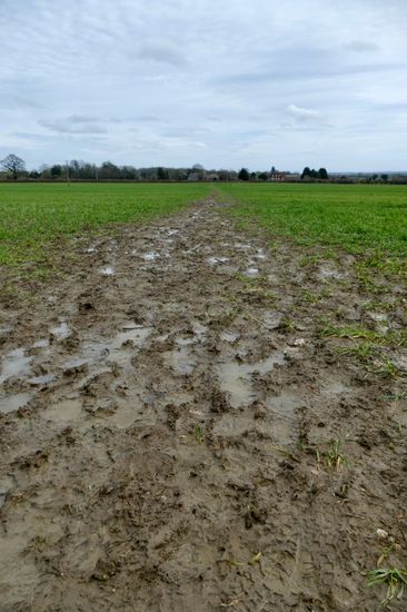 Country Paths Turned Muddy Quagmire After Editorial Stock Photo - Stock ...