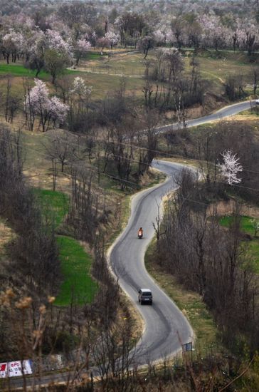 Vehicles Drive Through Road Almond Orchard Editorial Stock Photo ...