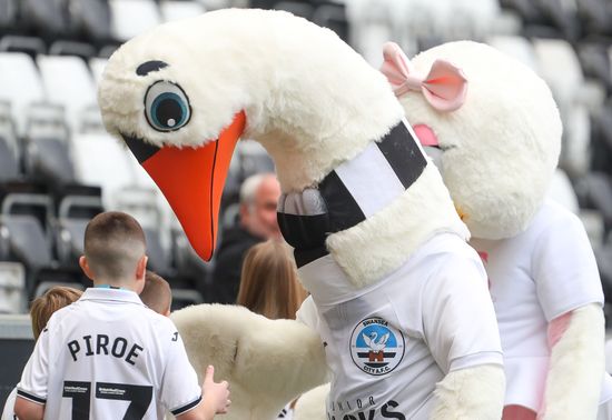 Swansea City Mascot Cyril Swan Editorial Stock Photo - Stock Image ...