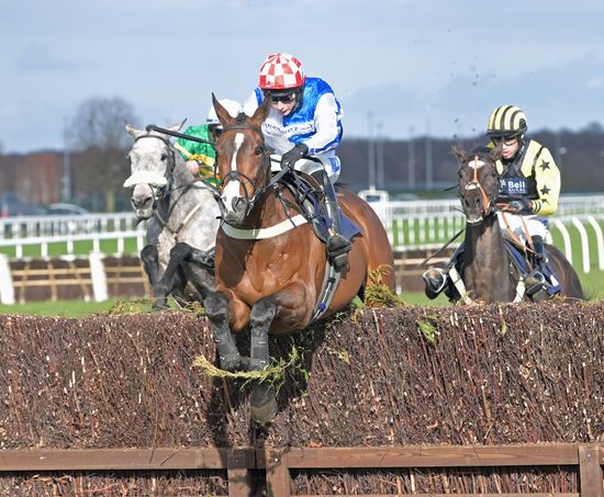 Dreaming Blue Rex Dingle Wins Races Editorial Stock Photo - Stock Image ...