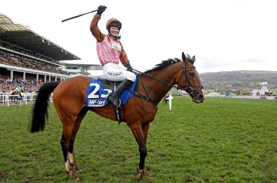 Faivoir Bridget Andrews Wins Mccoy Contractors Editorial Stock Photo ...