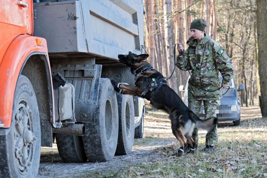 Dog Handler Police Dog Seen Presentation Editorial Stock Photo - Stock ...