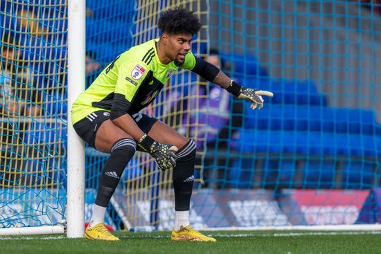 Crawley Town Goalkeeper Corey Addai 34 Editorial Stock Photo - Stock ...