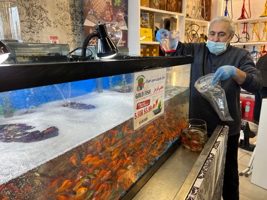 Iranians Purchase Goldfish Shop During Nevruz Editorial Stock Photo ...
