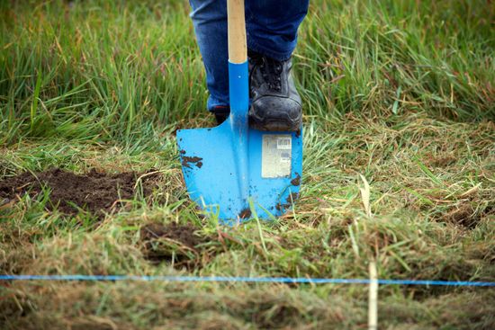 Someone Prepares Dig Order Plant Young Editorial Stock Photo - Stock ...