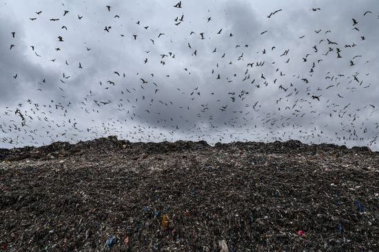 General View Over Landfill Birds Flying Editorial Stock Photo - Stock ...
