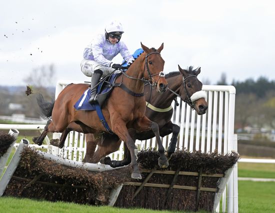 Springwell Bay John Oneill Jnr Wins Editorial Stock Photo - Stock Image ...
