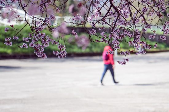 On 21 March Spring Enters This Editorial Stock Photo - Stock Image ...