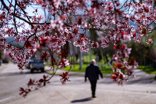 On 21 March Spring Enters This Editorial Stock Photo - Stock Image ...