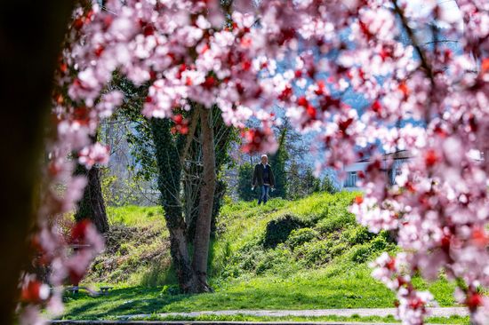 On 21 March Spring Enters This Editorial Stock Photo - Stock Image ...