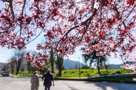 On 21 March Spring Enters This Editorial Stock Photo - Stock Image ...