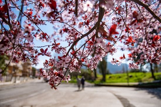 On 21 March Spring Enters This Editorial Stock Photo - Stock Image ...