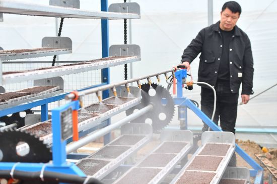 Seedling Breeding Machine Sprays Water Extracted Editorial Stock Photo ...