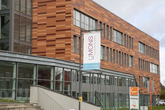 Illustration Picture Shows Umons University Mons Editorial Stock Photo ...