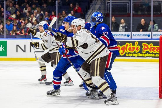 Hershey Bears Forward Mason Morelli 11 Editorial Stock Photo - Stock ...