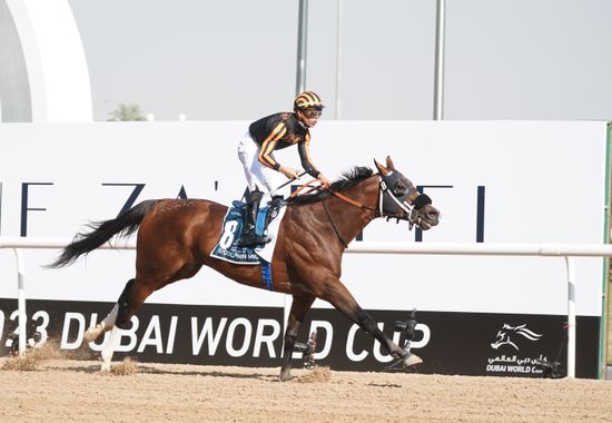 Meydan Racecourse Dubai Uae Godolphin Mile Editorial Stock Photo ...