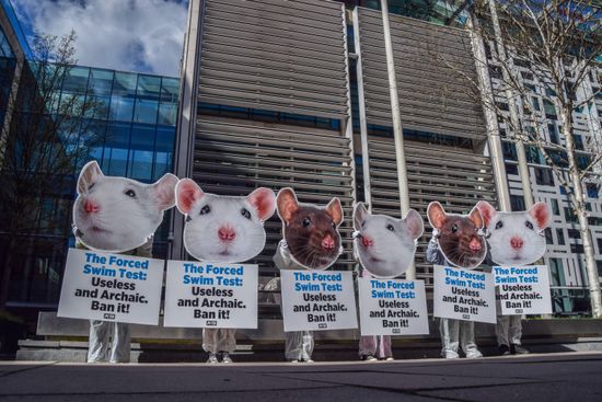 Peta Activists Hold Huge Mouse Rat Editorial Stock Photo - Stock Image ...