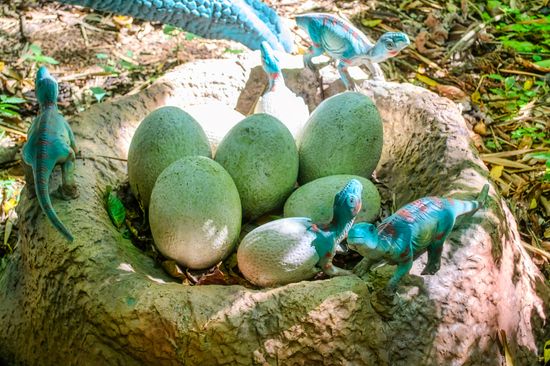 Dinosaur Nest Eggs Theme Park Tourist Editorial Stock Photo - Stock ...
