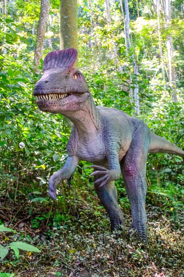 Lifesize Reproduction Dinosaur Located Amid Forest Editorial Stock ...