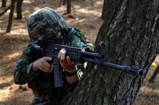 Republic Korea Marine Corps Rokmc During Editorial Stock Photo - Stock ...