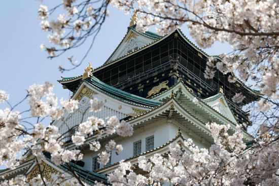 Cherry Blossoms Full Bloom Seen Osaka Editorial Stock Photo - Stock ...