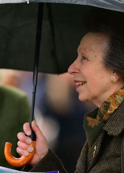 Hrh Princess Royal Taunton Racecourse Taunton Editorial Stock Photo ...
