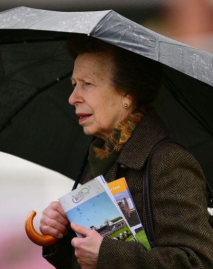 Hrh Princess Royal Taunton Racecourse Taunton Editorial Stock Photo ...