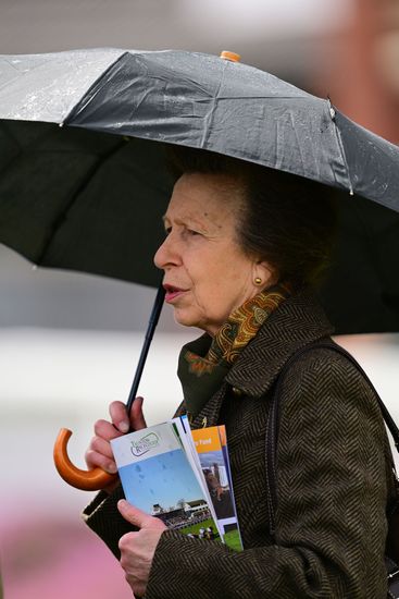 Hrh Princess Royal Taunton Racecourse Taunton Editorial Stock Photo ...