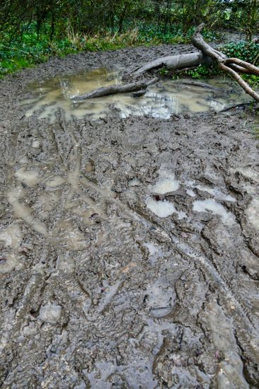 Foot Paths Become Waterlogged Muddy Quagmires Editorial Stock Photo ...
