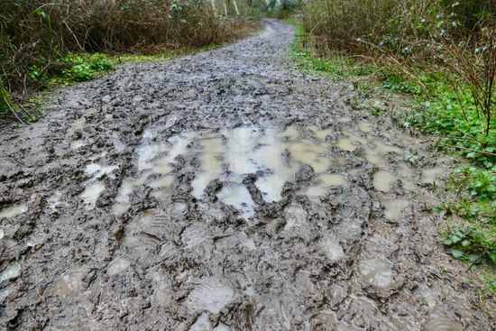 Foot Paths Become Waterlogged Muddy Quagmires Editorial Stock Photo ...