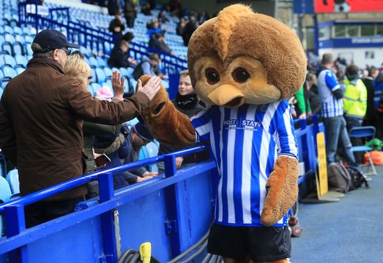 Sheffield Wednesday Mascot Barney Editorial Stock Photo - Stock Image ...