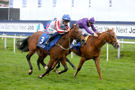 Doddies Impact 3 Ridden By Billy Editorial Stock Photo - Stock Image ...