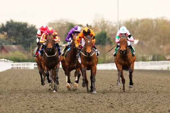 Dora Penny Centre Ridden By Oisin Editorial Stock Photo - Stock Image ...