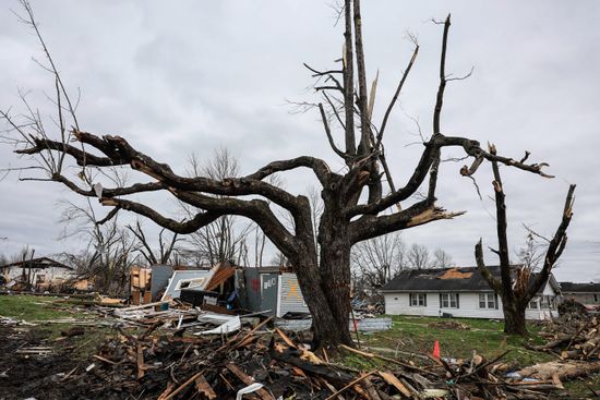 Damaged Tree Stands Above Demolished Houses Editorial Stock Photo ...