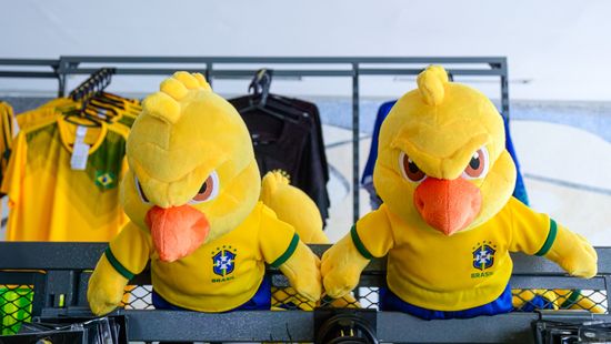 Canarinho Mascot Brazilian National Soccer Team Editorial Stock Photo ...
