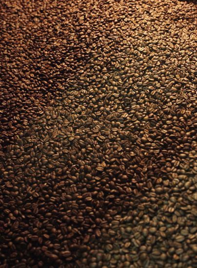 Cooked Coffee Beans Inside Cooling Machine Editorial Stock Photo ...