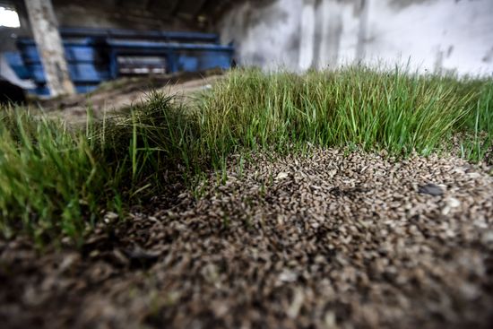 Spoiled Grain Inside Storage Area Farm Editorial Stock Photo - Stock ...