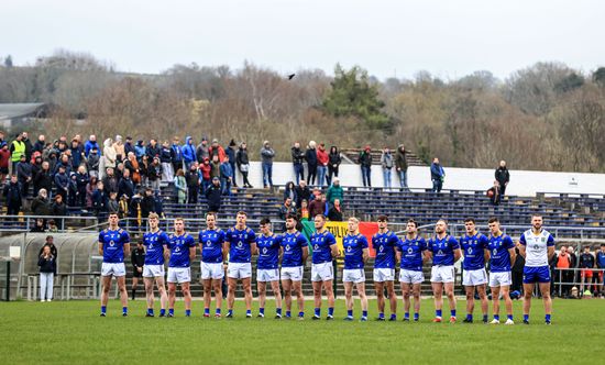 Wicklow Vs Carlow Wicklow Team Stand Editorial Stock Photo - Stock ...
