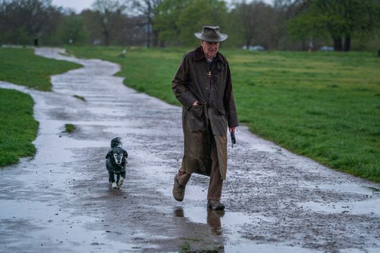 Man Walking Dog On Lashing Rain Editorial Stock Photo - Stock Image ...
