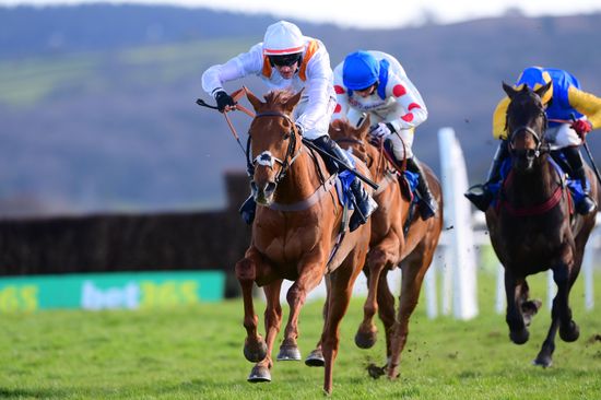 Race Winner Geezer Rockstar Ridden By Editorial Stock Photo - Stock ...