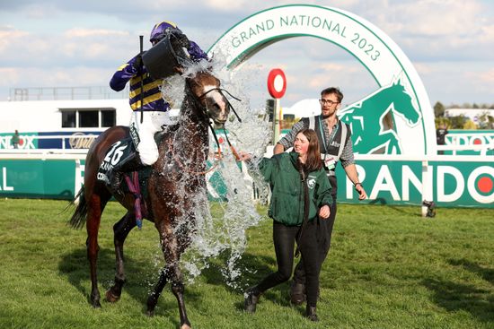 Corach Rambler Gets Abucket Water Over Editorial Stock Photo - Stock ...